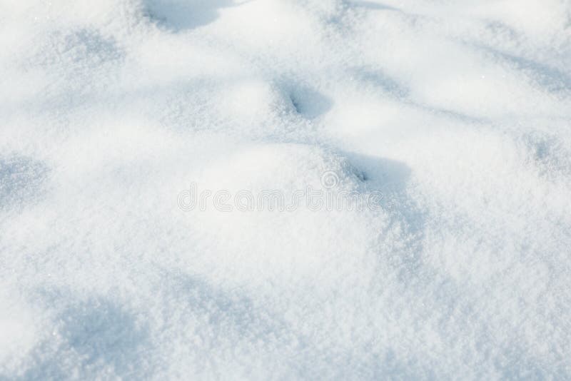 Beautiful Snow As Background, Closeup View. Winter Weather Stock Image ...