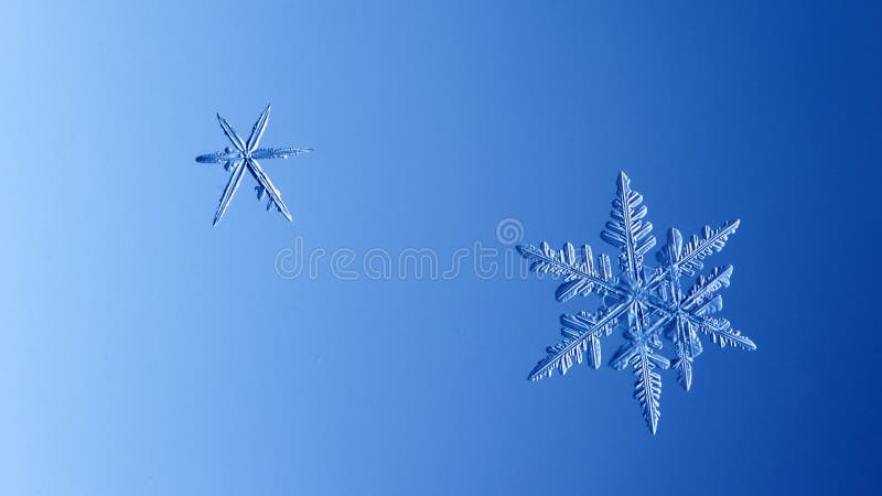 Beautiful Snow Flake on a Light Blue Background Close Up Stock Image ...