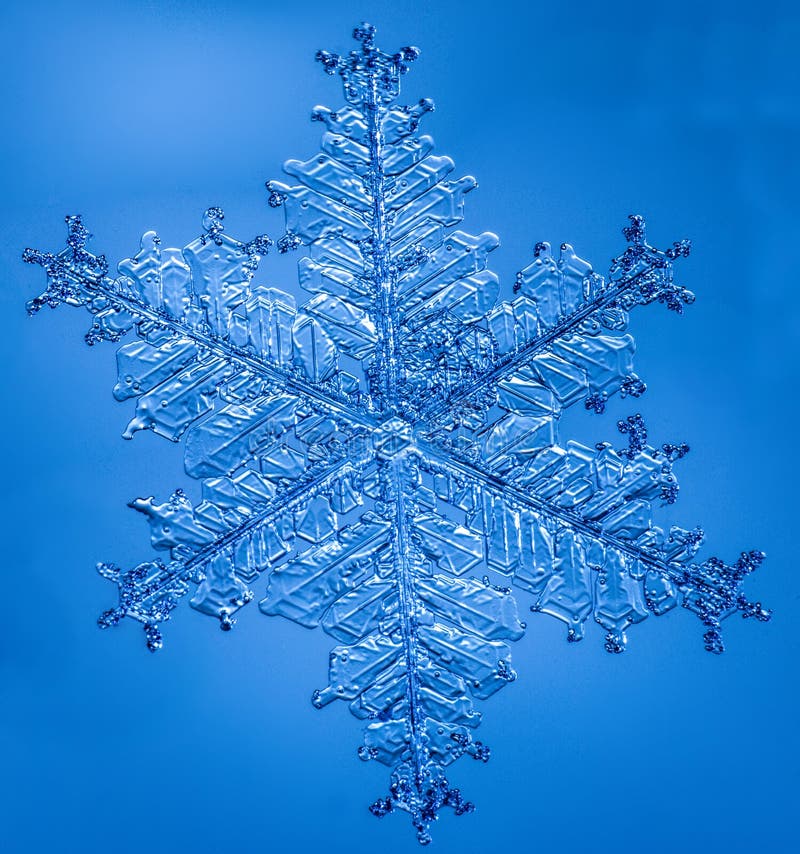 Beautiful Snow Flake on a Light Blue Background Close Up Stock Photo ...