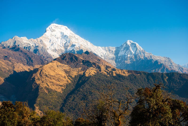 Beautiful Snow Mountain of Annapurna Himalayan Range Stock Photo ...