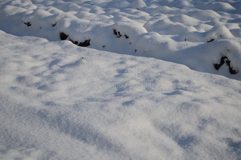 Beautiful Snow Pattern Wallpaper for Desktop, Texture of Snowfall on ...