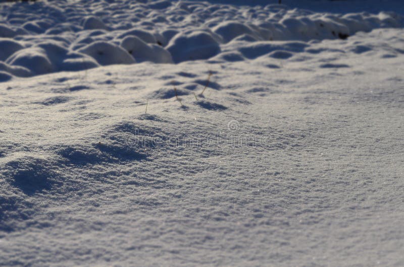 Beautiful Snow Pattern Wallpaper for Desktop, Texture of Snowfall on ...