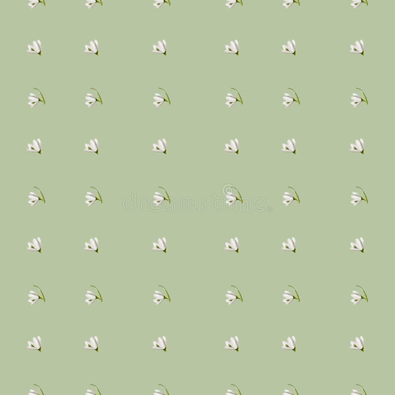 Beautiful Snowdrop Pattern in Watercolor for Seamless Fabric and ...