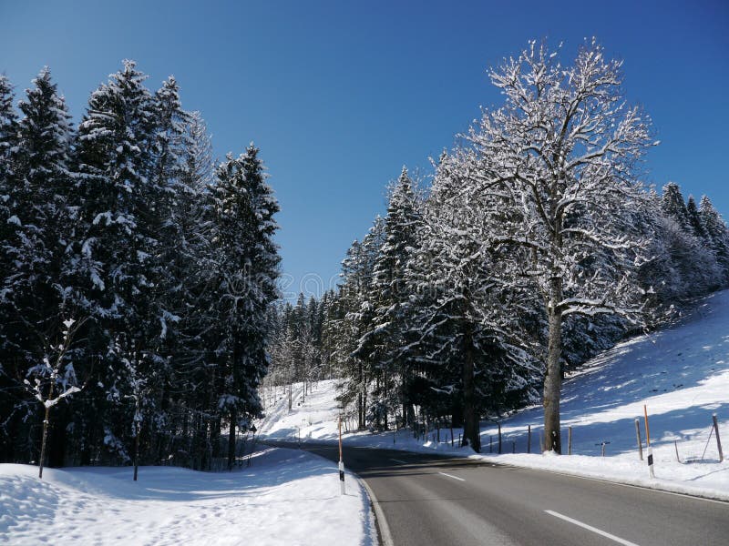 Beautiful Snowy Landscape Forest Stock Photo - Image of green, snow ...
