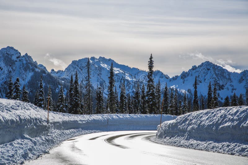 Beautiful Snowy Mountains and Beautiful Forest in Mountain Rainier ...
