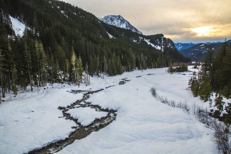 Beautiful Snowy Mountains and Beautiful Forest in Mountain Rainier ...