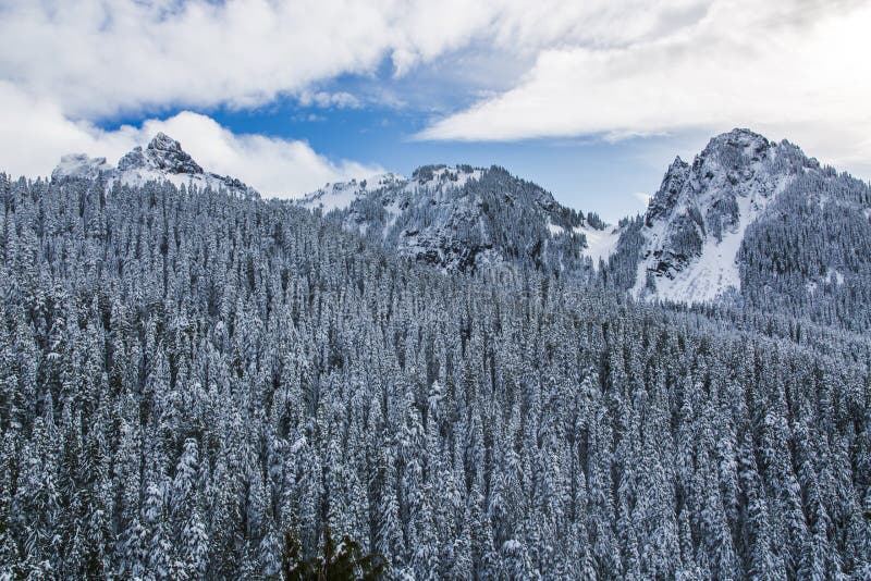 Beautiful Snowy Mountains and Beautiful Forests Stock Photo - Image of ...