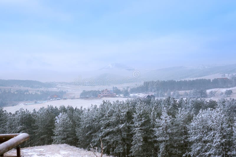 Beautiful Snowy Trees in the Mist at the Morning Mountains Stock Image ...