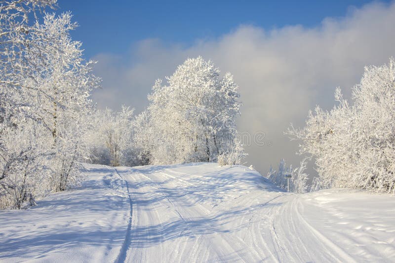 Beautiful Snowy Winter Landscape Stock Photo - Image of snowfall ...