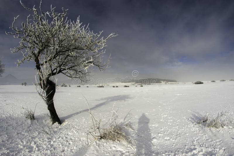 Beautiful Snowy Winter Landscape Stock Photo - Image of snow, nature ...