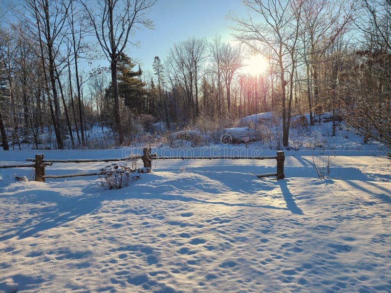 Beautiful Snowy Winter Twilight Solstice Light with Forest Stock Image ...