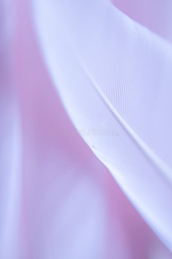 Beautiful Soft Feathers Background Texture Stock Photo - Image of ...