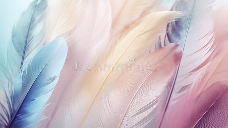 Beautiful and Soft Pastel Color Feather Background Delicate and Elegant ...