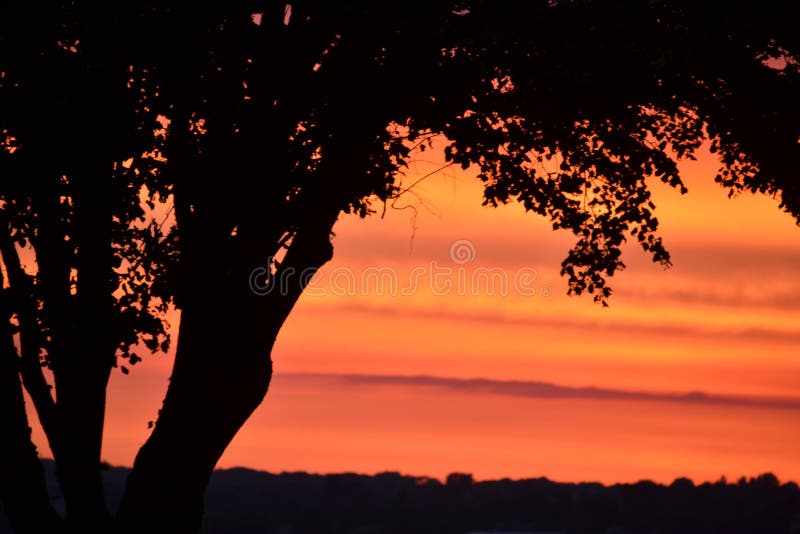 Beautiful Soft Sunset Behind the Silhouette of a Tree Stock Photo ...