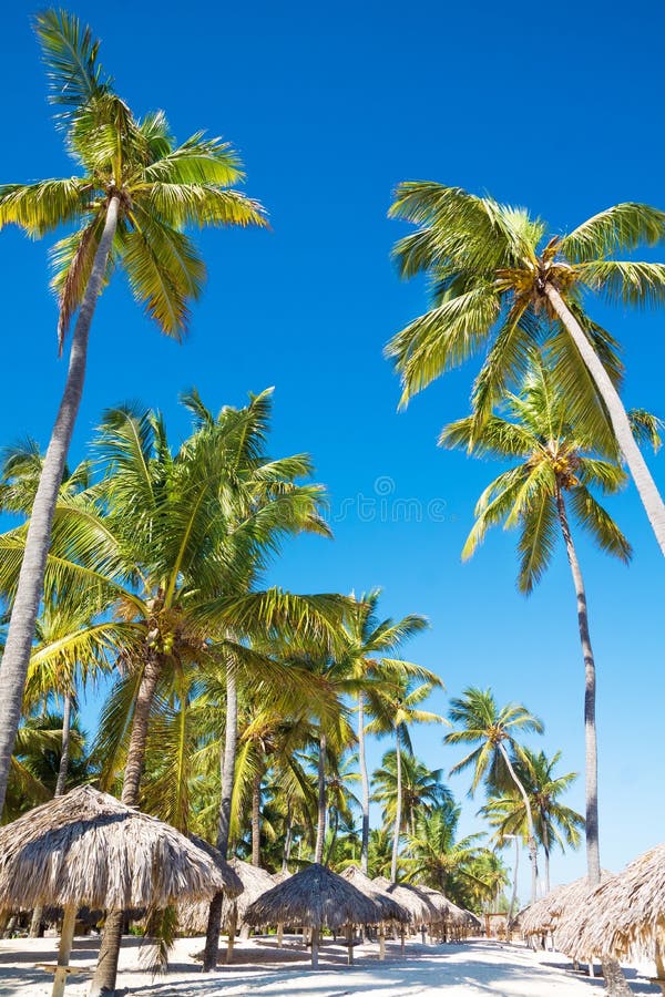 Beautiful solar beach stock image. Image of beach, beautiful - 164877357