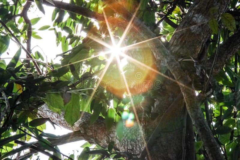 Beautiful solar ray stock photo. Image of relax, outdoor - 69234804