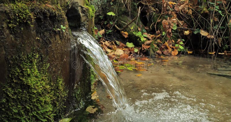 Source of Clear Flowing Spring Water. Stock Video - Video of outdoor ...