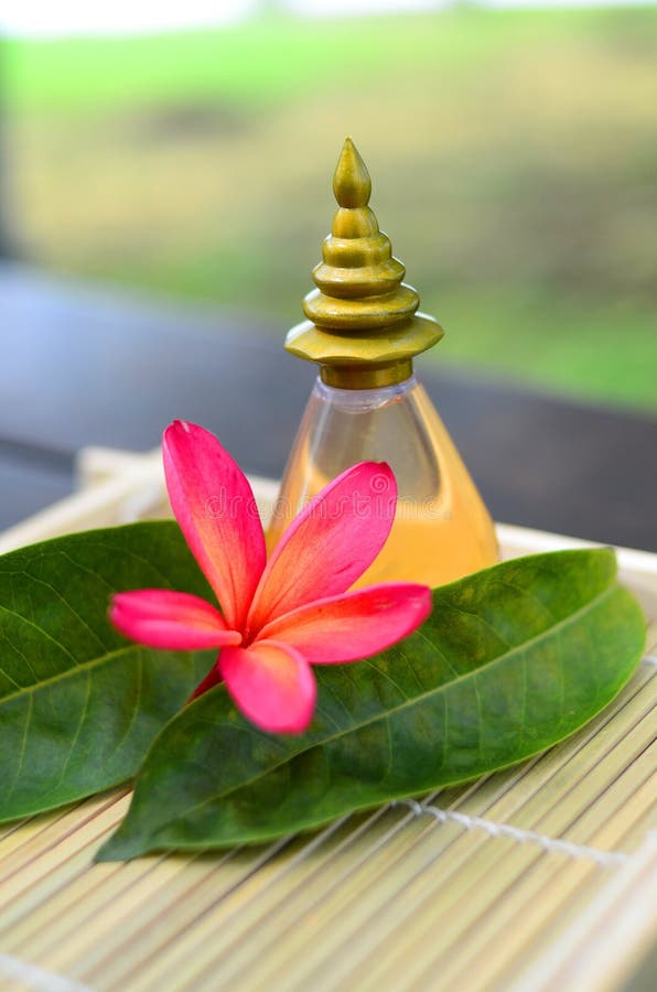 Beautiful Spa and Aromatherapy Concept Stock Photo - Image of aroma ...