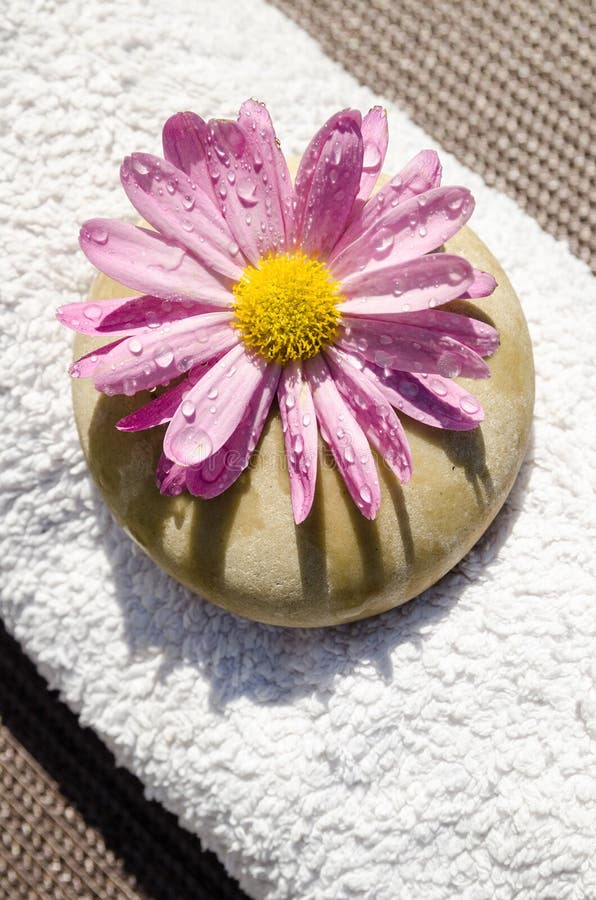 Spa flower in water stock image. Image of concept, life - 10229653