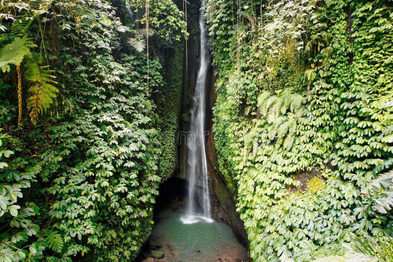 Beautiful Splashing Waterfall in the Green Forest Stock Image - Image ...