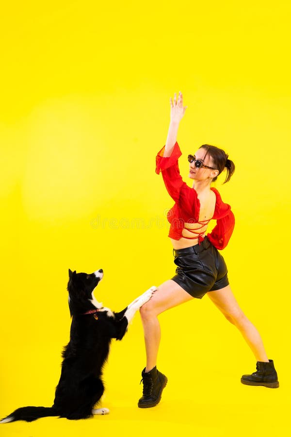 Beautiful Sport Female with Border Collie in Studio Stock Photo - Image ...