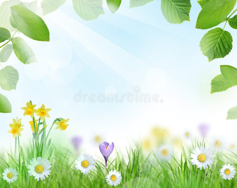 Cute Cartoon Spring Background Stock Vector - Illustration of happy ...