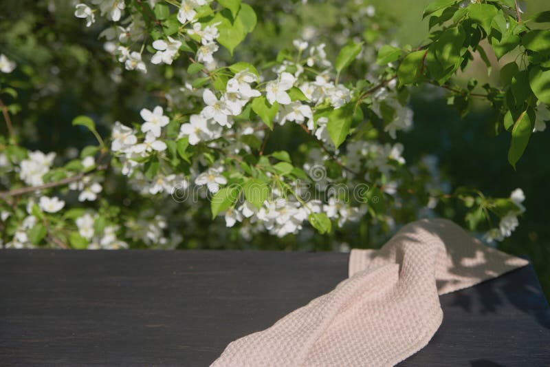 Beautiful Spring Blossoms with a Rustic Table Setting in Natural Light ...