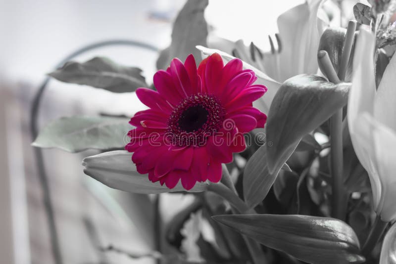 Beautiful Spring Bouquet of Flowers. Stock Image - Image of bouquet ...