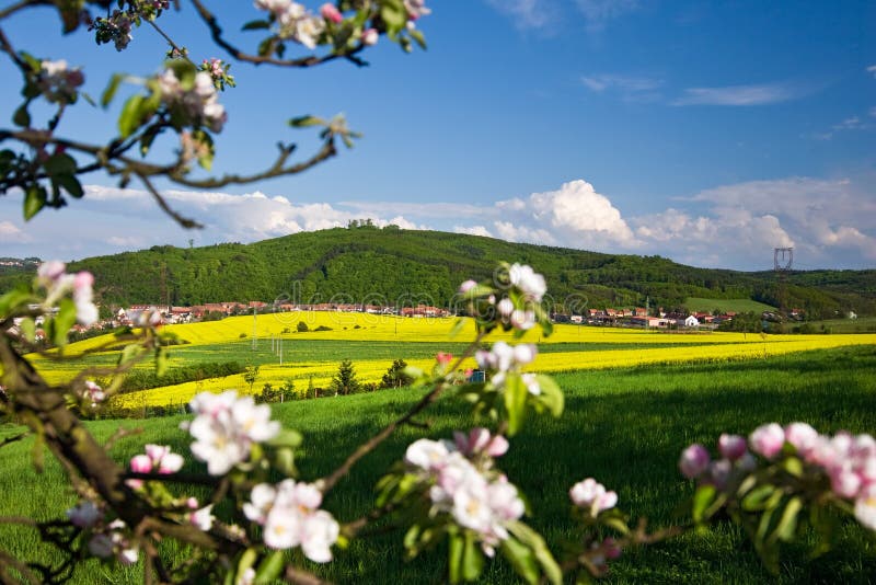 Beautiful Spring Countryside Stock Photo - Image of spring, plant: 14287798