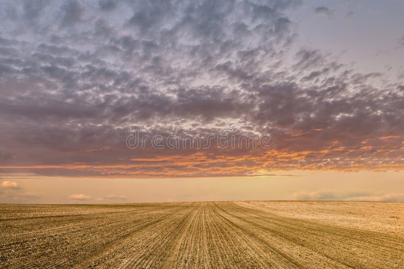 Beautiful Spring Evening Sunset Light Over Fields Landscape on Farm ...