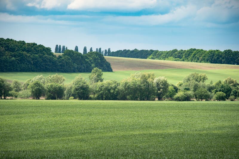 Beautiful Spring Field with the Blue Sky Stock Photo - Image of country ...