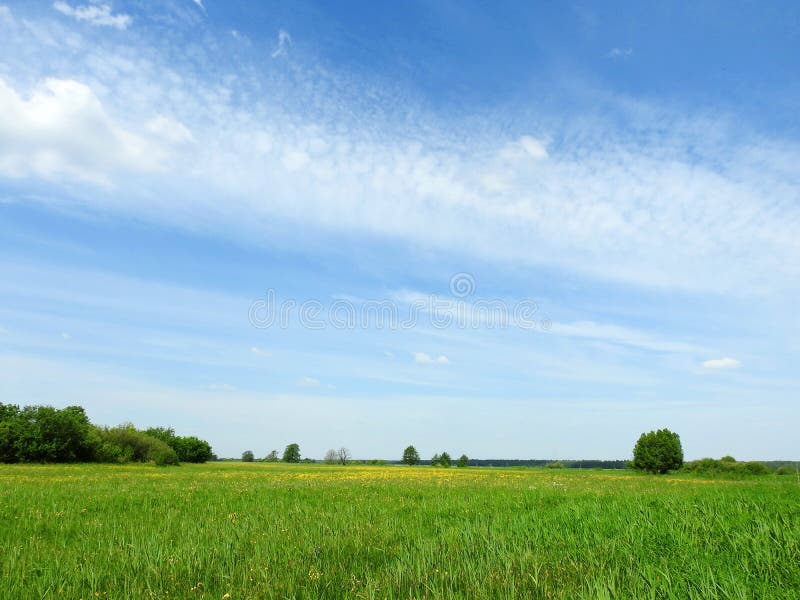Spring Field with Trees stock photo. Image of tree, farm - 2259578