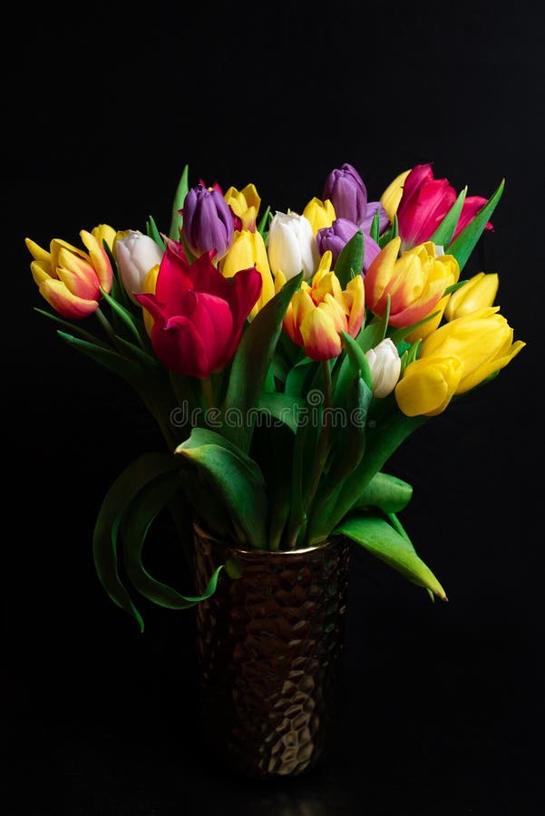 Beautiful Spring Flowers on Black Background Stock Photo - Image of ...