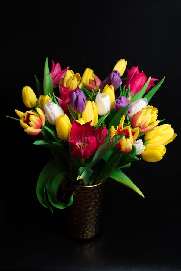 Beautiful Spring Flowers on Black Background Stock Image - Image of ...