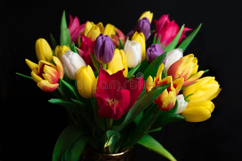 Beautiful Spring Flowers on Black Background Stock Image - Image of ...