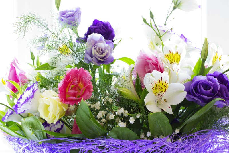Beautiful spring flowers stock photo. Image of arrangement - 43021704