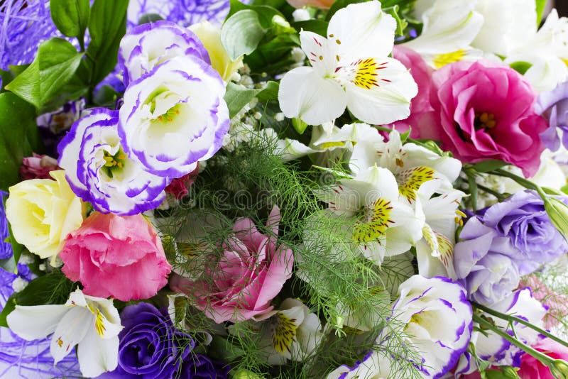 Beautiful spring flowers stock photo. Image of blossom - 43021834