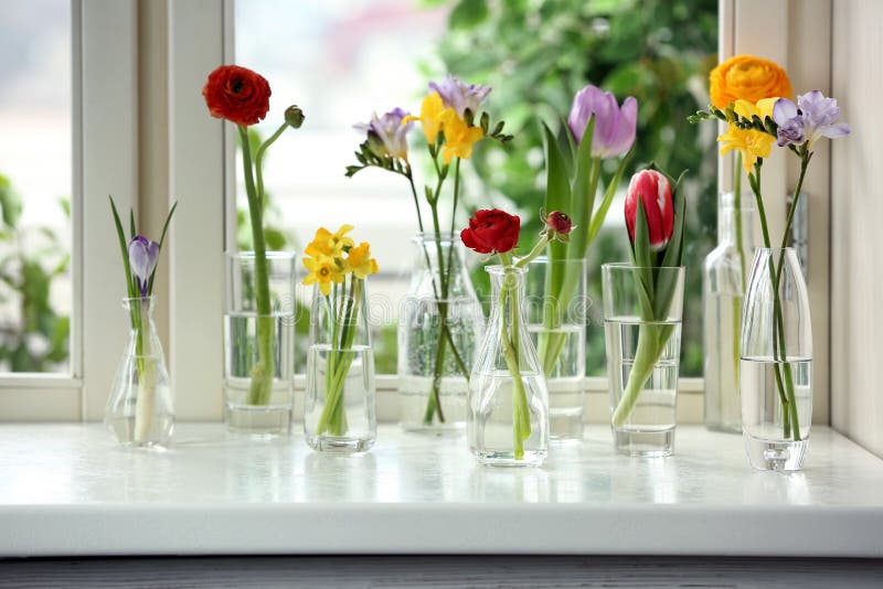 Window of Glassware Store stock image. Image of modern - 233618261