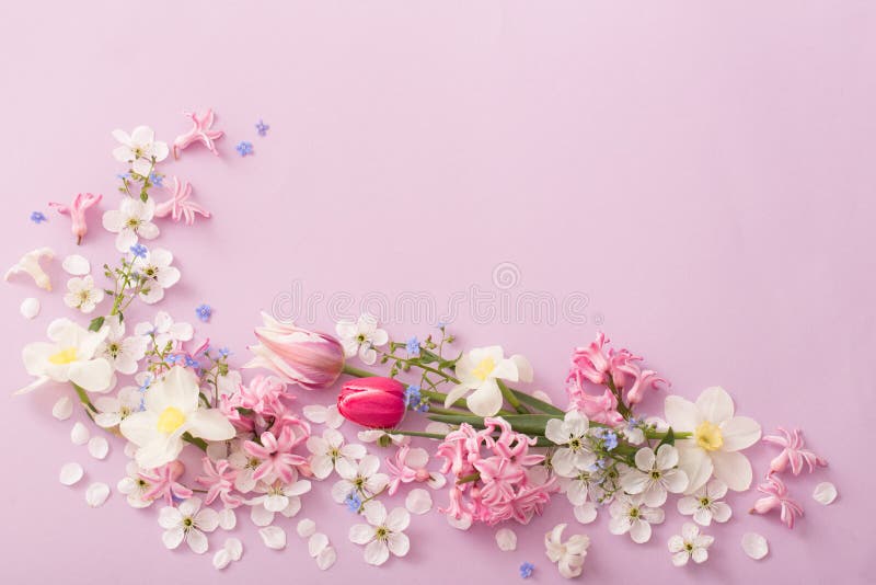 Beautiful Spring Flowers on Paper Background Stock Image - Image of ...