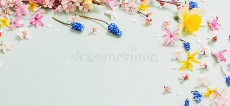 Spring Flowers on Paper Background Stock Photo - Image of green ...