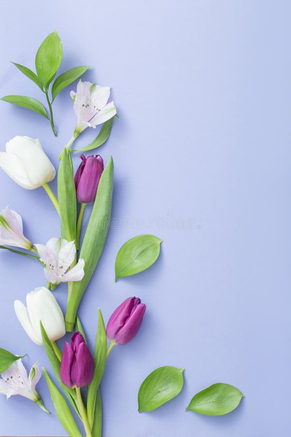 Beautiful Spring Flowers on Paper Background Stock Photo - Image of ...