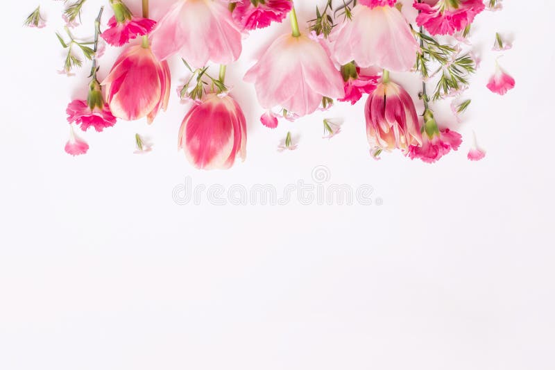 Beautiful Spring Flowers on White Background Stock Photo - Image of ...