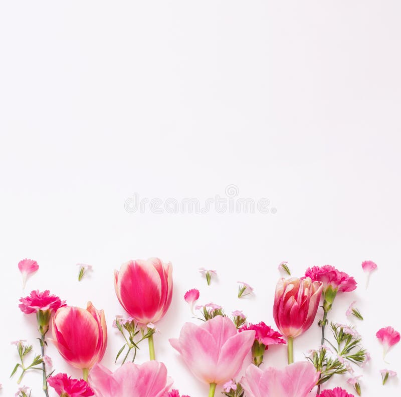 Beautiful Spring Flowers on White Background Stock Photo - Image of ...