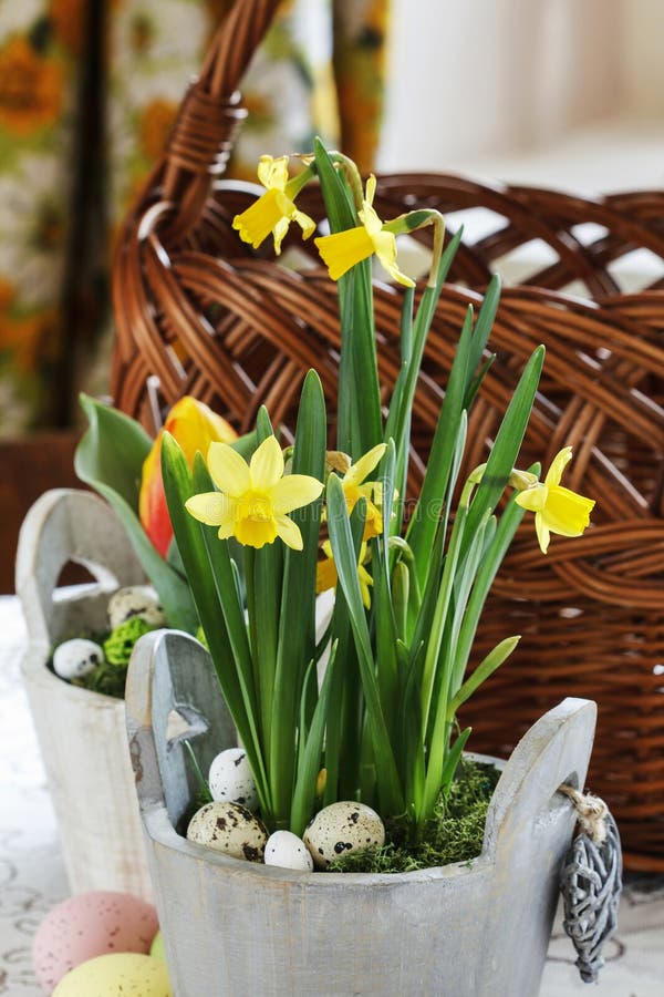 Beautiful Spring Flowers and Wicker Basket on the Table Stock Image ...