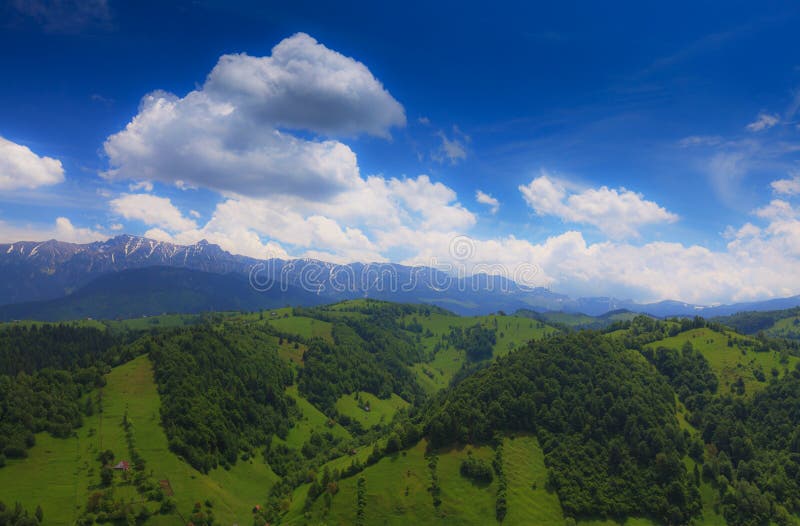 Beautiful Spring Foliage and a Mountain Forest Stock Image - Image of ...
