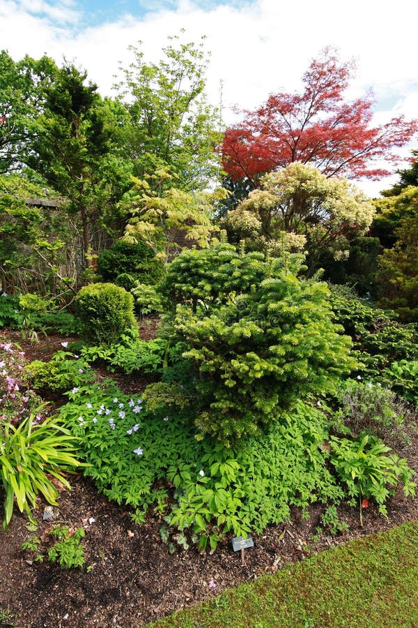 Beautiful spring garden stock photo. Image of blooming - 31335898