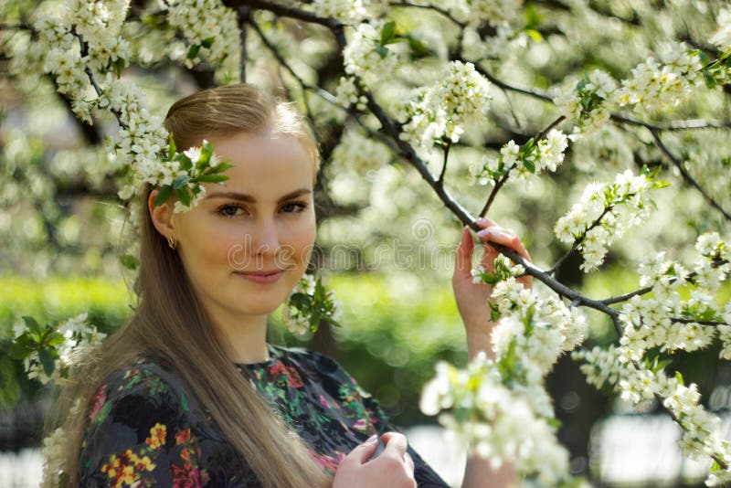Beautiful Spring Girl in Blooming Tree Stock Photo - Image of orange ...