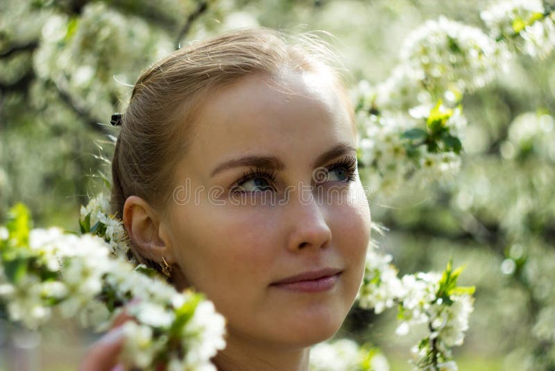 Beautiful Spring Girl in Blooming Tree Stock Photo - Image of natural ...