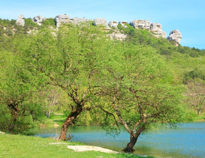 Beautiful spring lake stock image. Image of tree, hill - 13878623