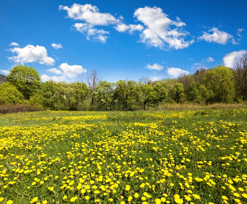 Beautiful spring landscape stock photo. Image of blue - 19498802